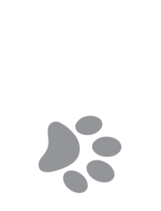 Pet Allergy Relief | Allerpet