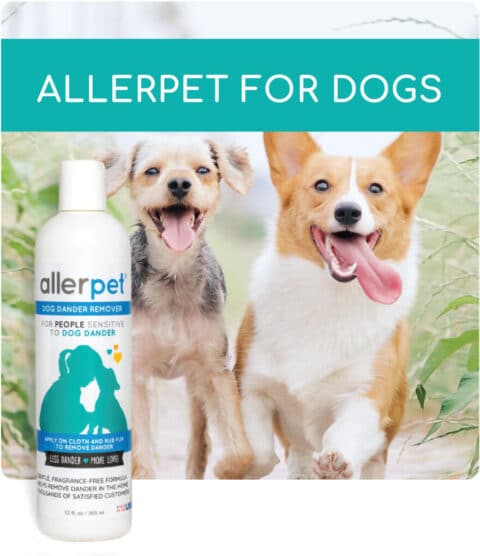 Pet Allergy Relief | Allerpet